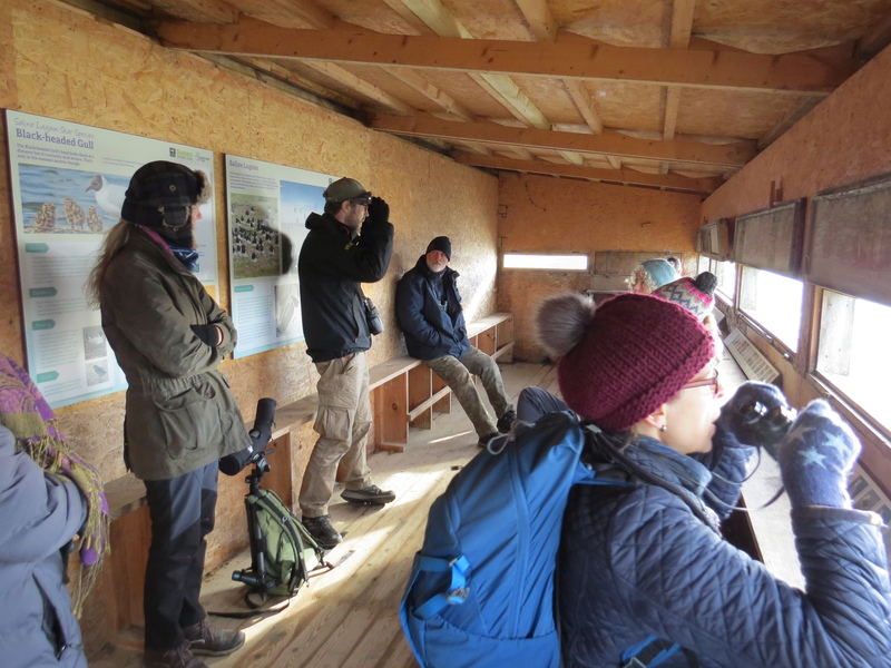Beginning Birdwatching at Rye Harbour Nature Reserve | Rye Harbour ...