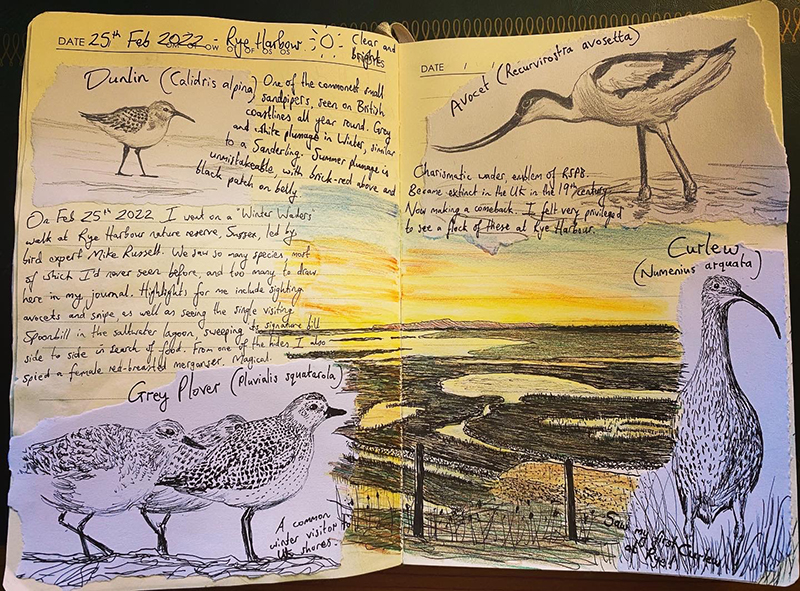 Go wild with a nature journal | Sussex Wildlife Trust