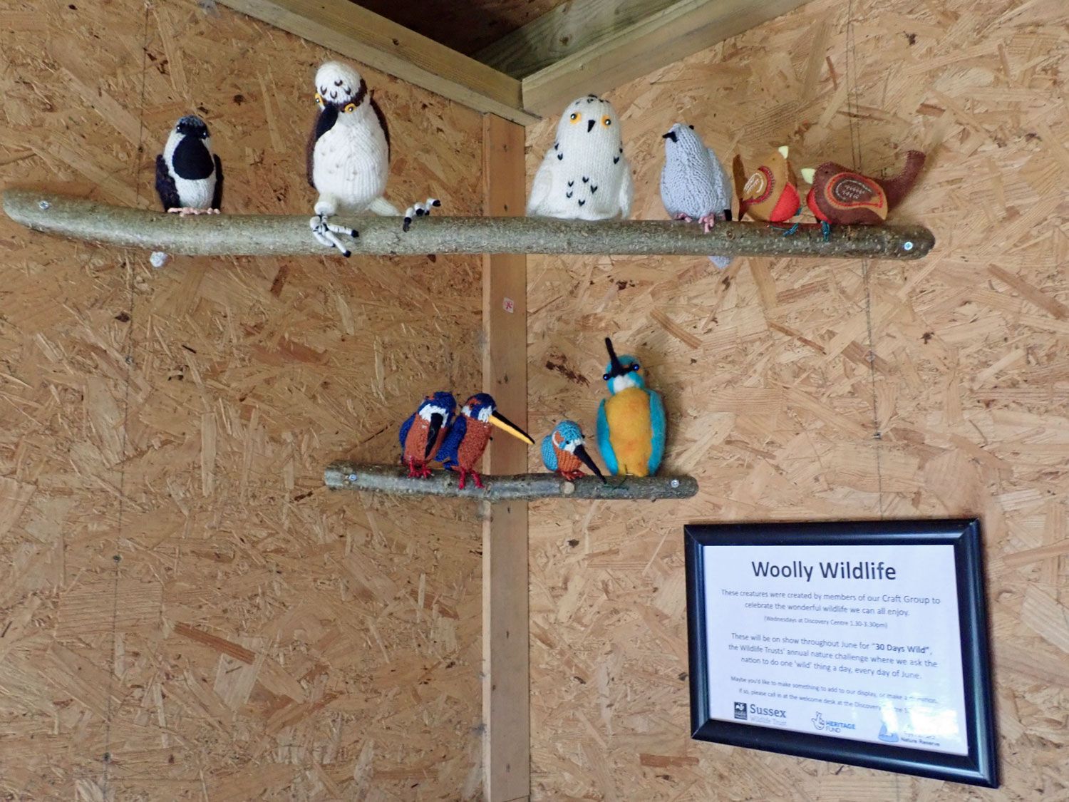 Have you spotted the Woolly Wildlife for 30 Days Wild at Rye Harbour ...