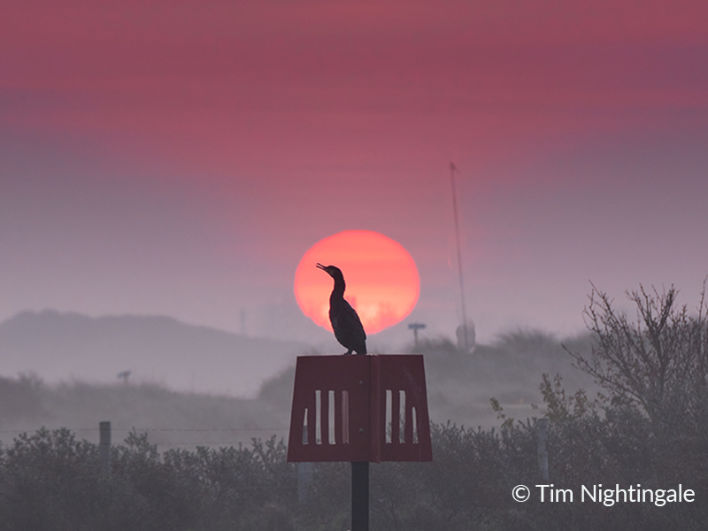 Vote for your favourite nature photograph 2023 | Sussex Wildlife Trust