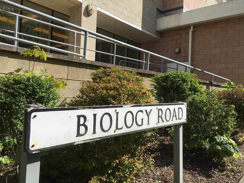 Biology Road | Sussex Wildlife Trust