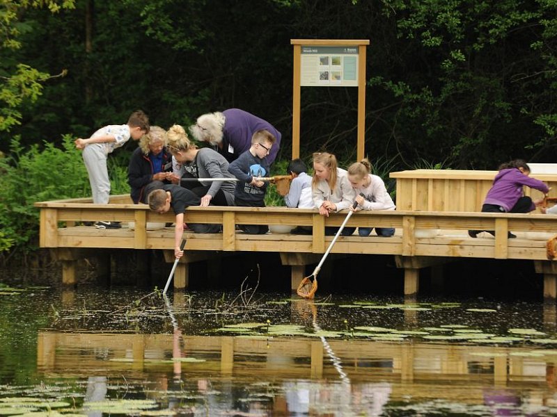 Grand opening for pond dipping platform | Sussex Wildlife Trust