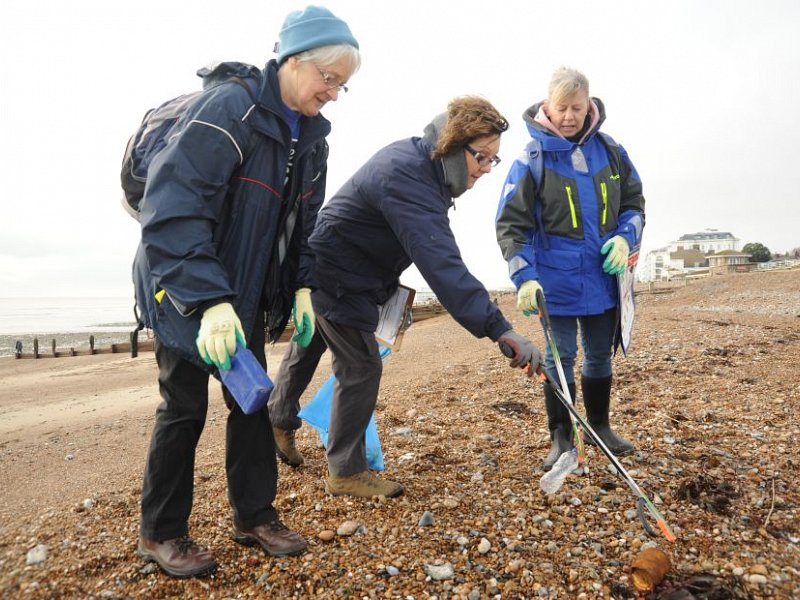 How to organise a beach clean | Sussex Wildlife Trust