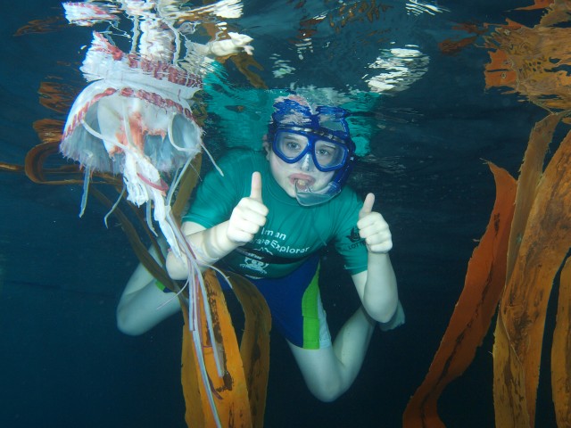 Undersea Explorers at Brighton | Sussex Wildlife Trust