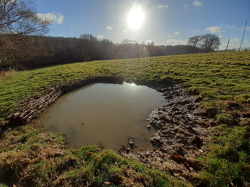 The wonder of wetlands | Rye Harbour Nature Reserve