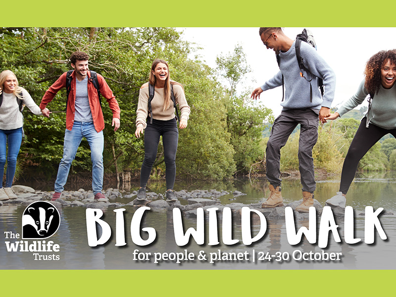 Big Wild Walk | Sussex Wildlife Trust
