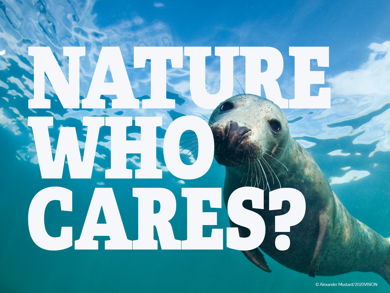 Home page | Rye Harbour Nature Reserve