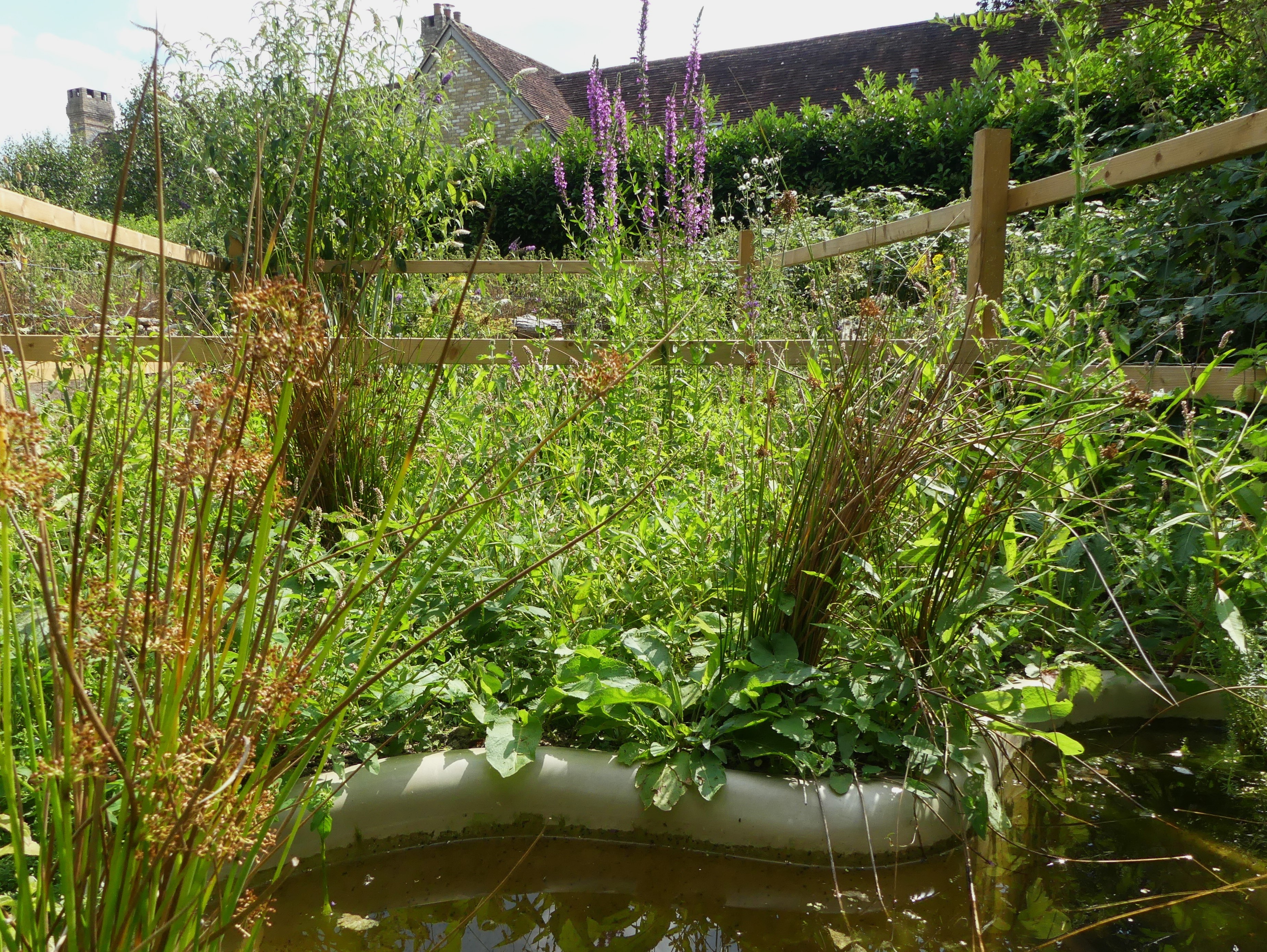 Horsham locals transform NEW Wildlife Garden at Chesworth Farm, Horsham ...