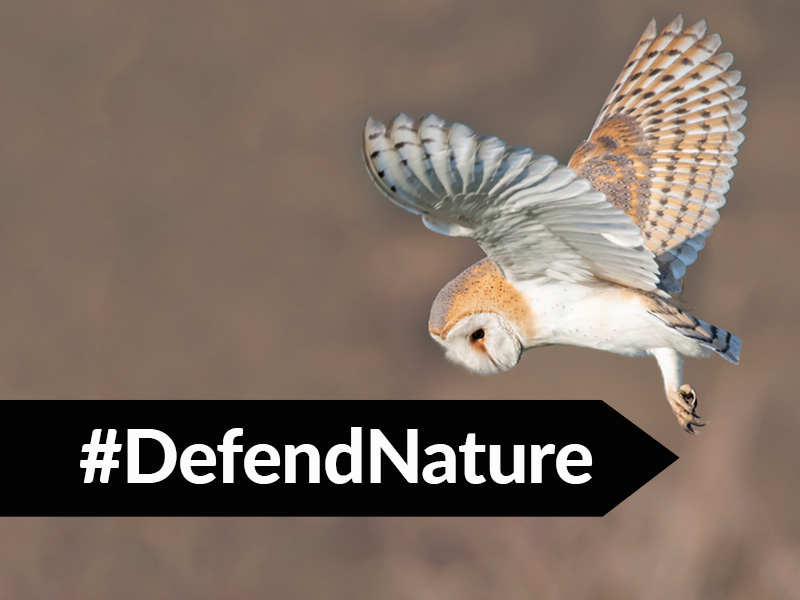 Nature under attack - we need your help | Sussex Wildlife Trust