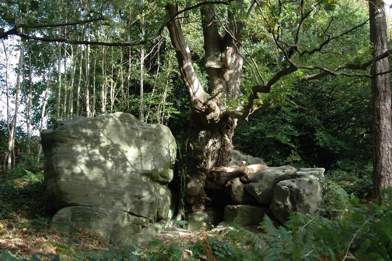 Why geodiversity in Sussex is so important | Rye Harbour Nature Reserve