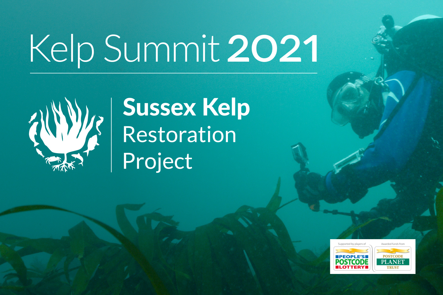 Kelp Summit 2021 | Rye Harbour Nature Reserve