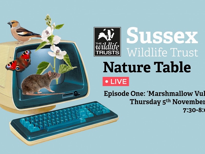 'Nature Table Live ' Episode One | Sussex Wildlife Trust