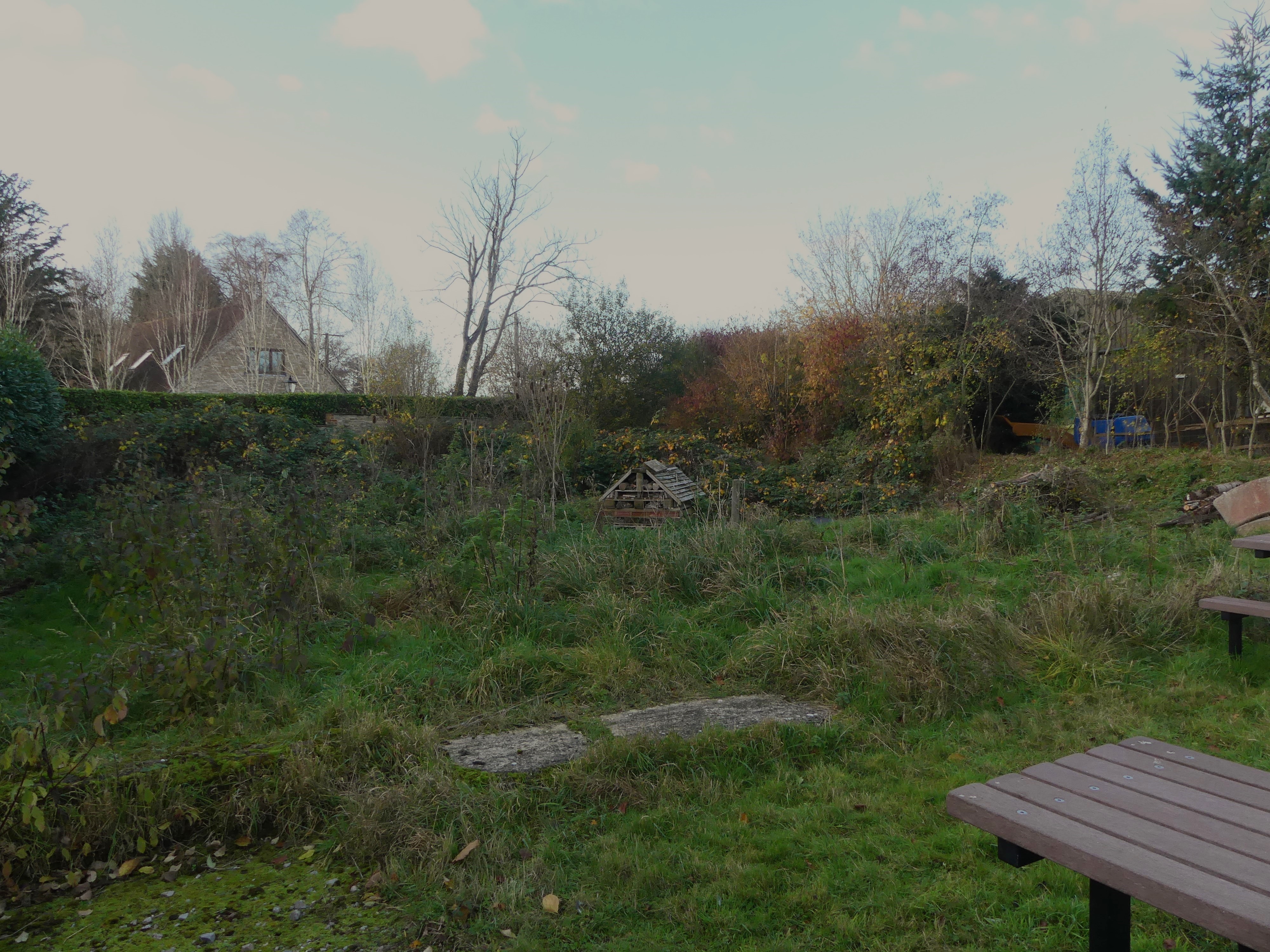 Horsham locals transform NEW Wildlife Garden at Chesworth Farm, Horsham ...
