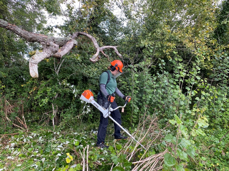Lederman Trainees - September update | Sussex Wildlife Trust