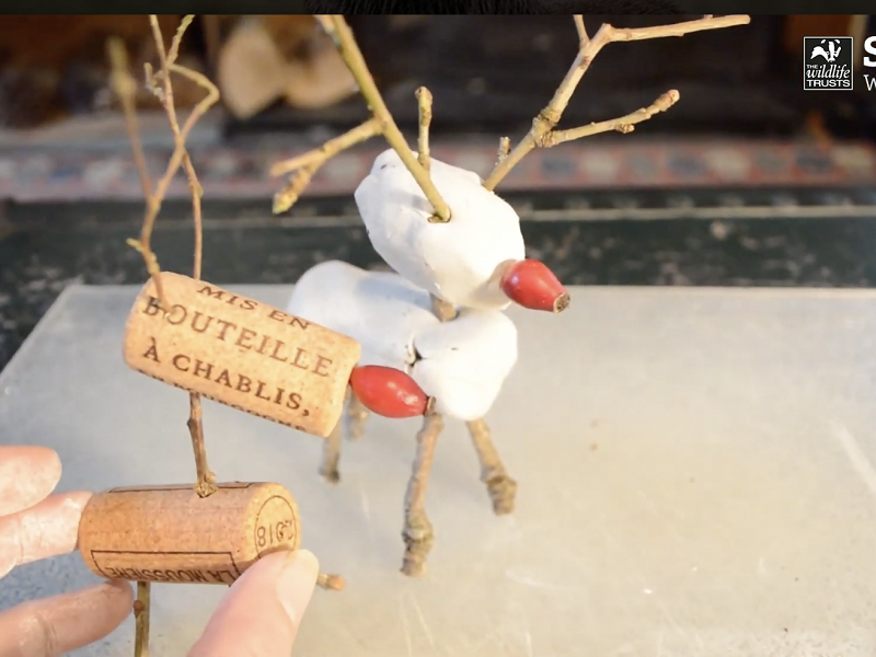 How to make your own Rudolph | Sussex Wildlife Trust