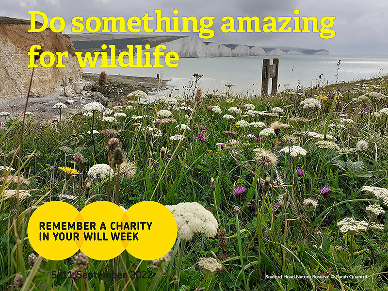 Remember Sussex Wildlife Trust in your will | Sussex Wildlife Trust