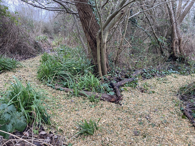 Community Group Focus: Polegate Jubilee Nature Reserve | Sussex ...