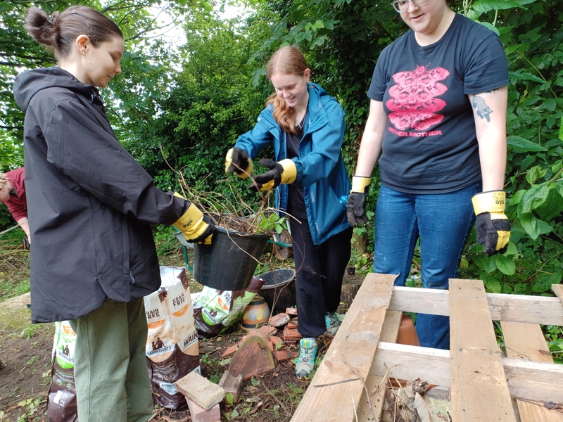 Reptile Ridge Bug Hotel now open for business | Sussex Wildlife Trust