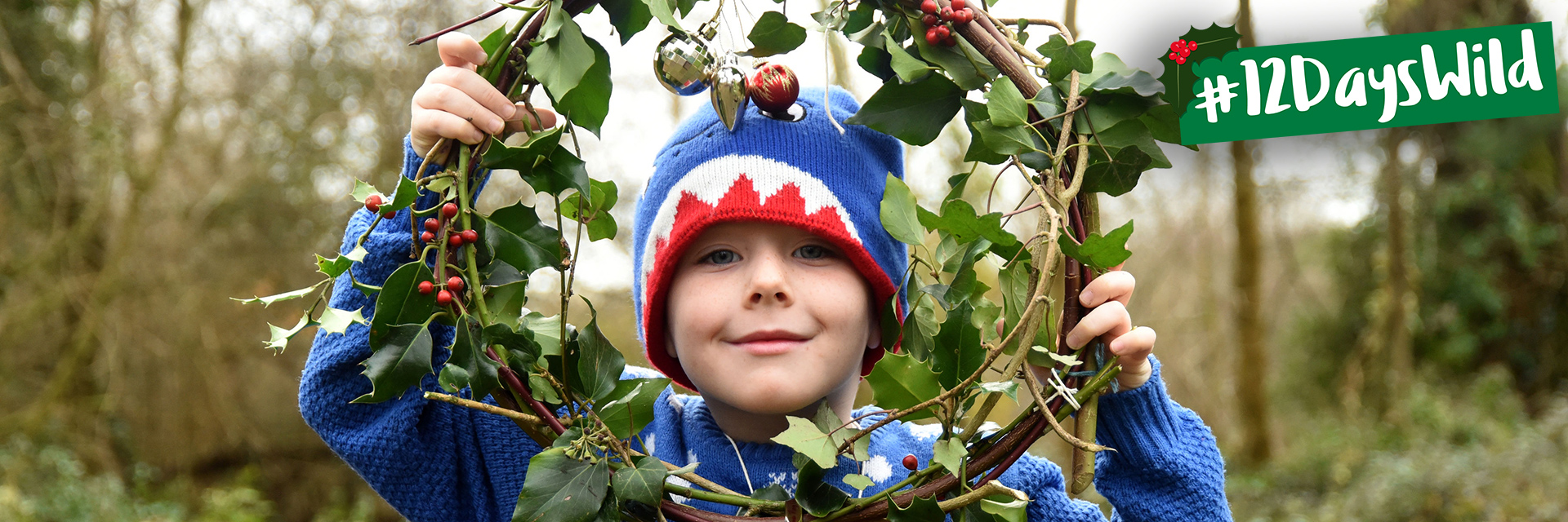 12 Days Wild | Sussex Wildlife Trust