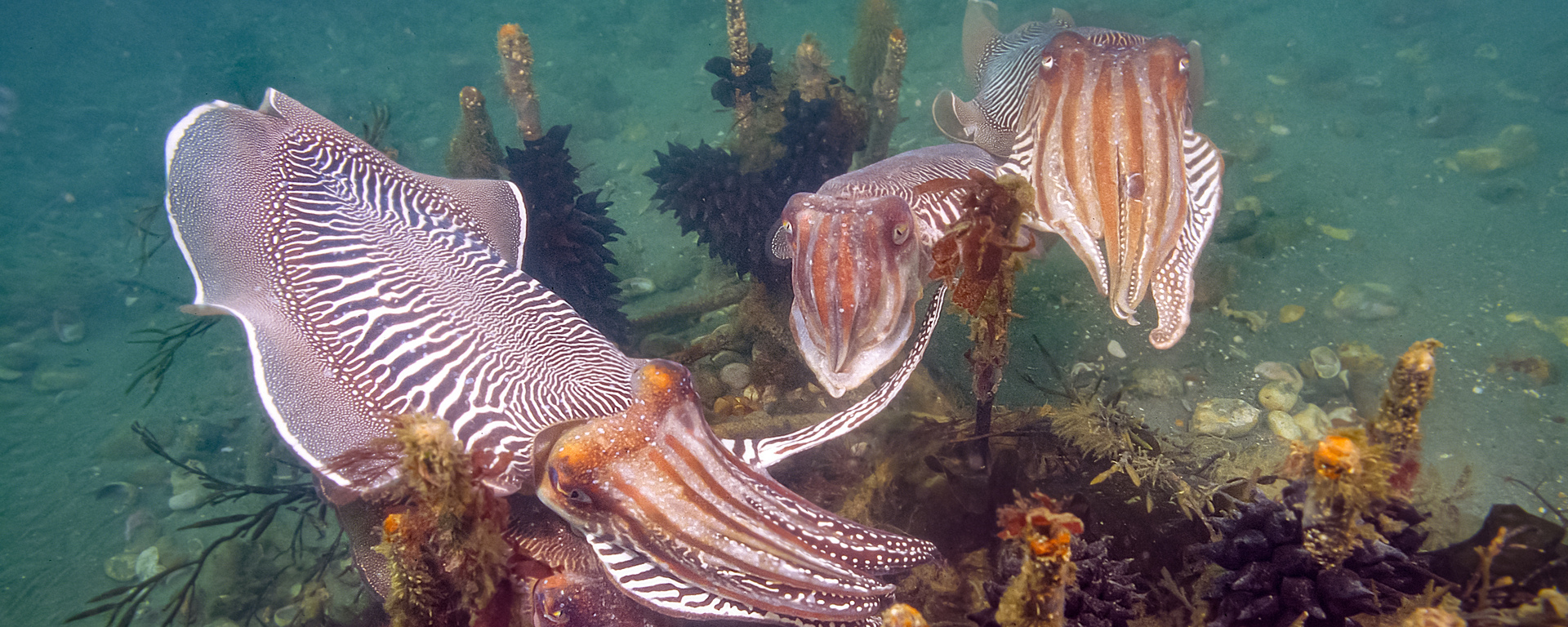 Welcome | Sussex Wildlife Trust