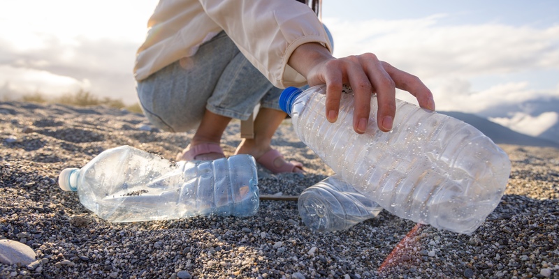 Four simple ways to support ocean conservation | Sussex Wildlife Trust