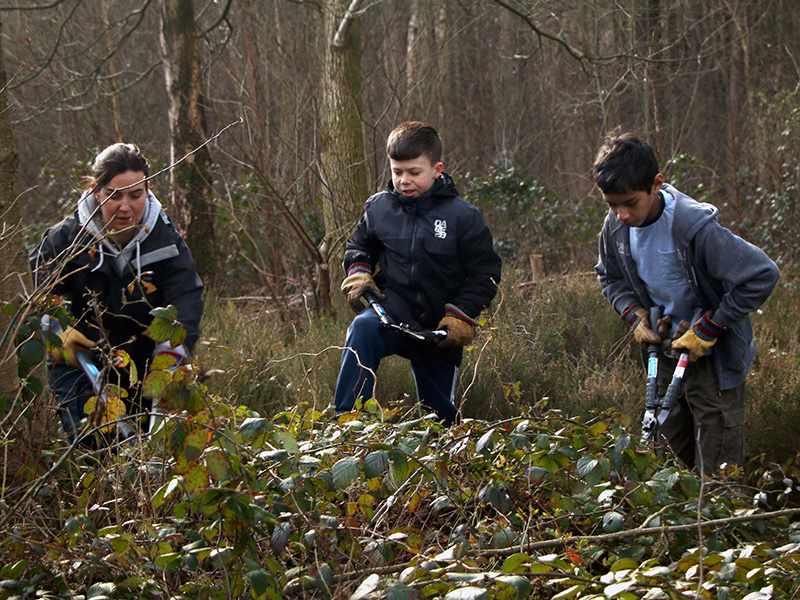 Thank you to all our volunteers | Sussex Wildlife Trust