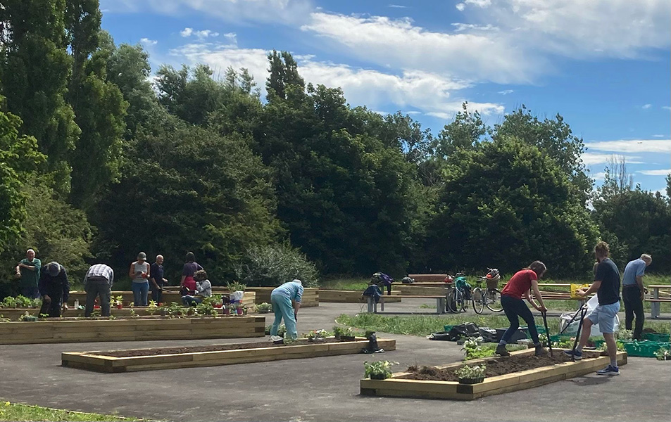 Friends of Brooklands Park | Sussex Wildlife Trust