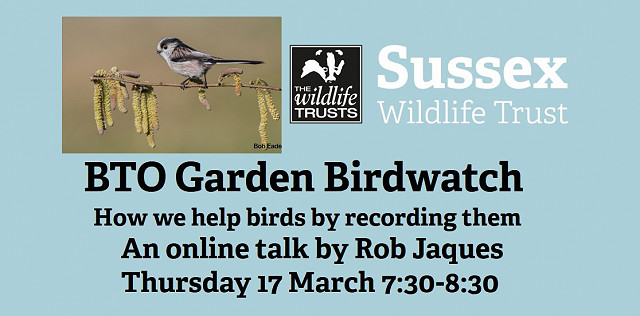 Online talk: BTO Garden Birdwatch - How to help birds by recording them ...