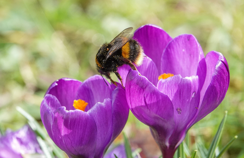 Behind the Lens with Jeff Penfold | Sussex Wildlife Trust
