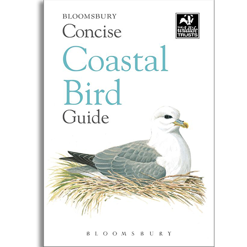 Concise Coastal Birds Guide | Sussex Wildlife Trust