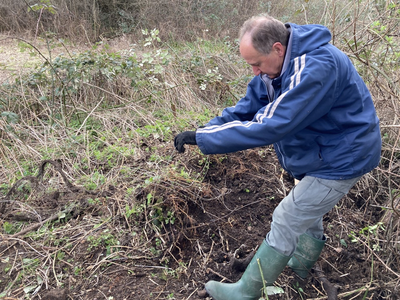 Community Group Focus: Polegate Jubilee Nature Reserve | Sussex ...