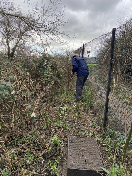 Community Group Focus: Polegate Jubilee Nature Reserve | Sussex ...