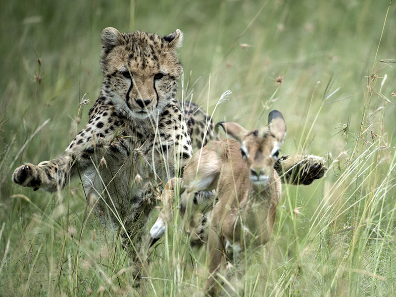 Behind the Lens with David Plummer | Sussex Wildlife Trust