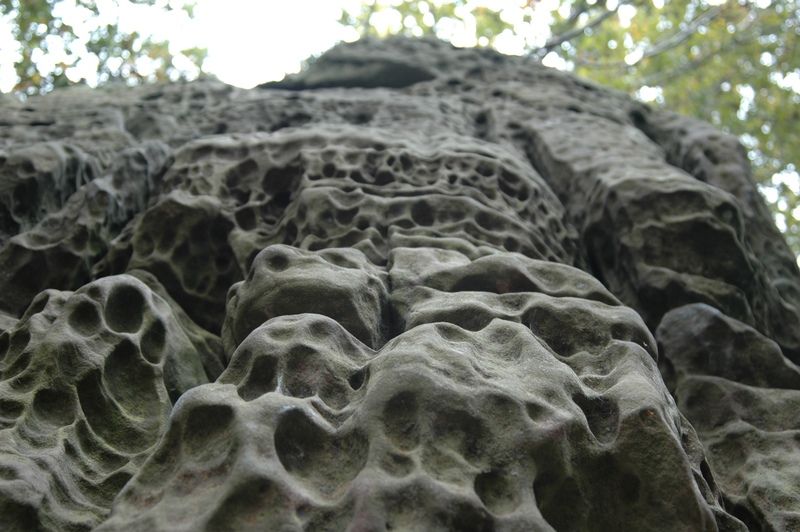 Why geodiversity in Sussex is so important | Sussex Wildlife Trust