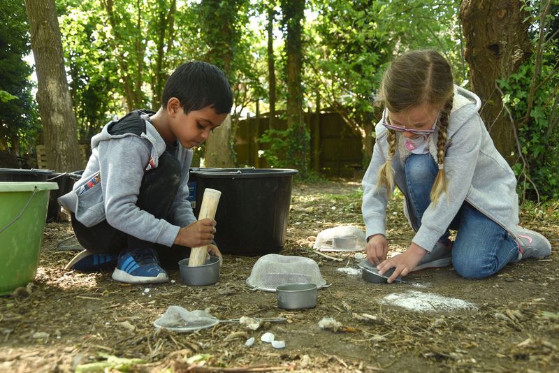 Promoting outdoor learning | Sussex Wildlife Trust