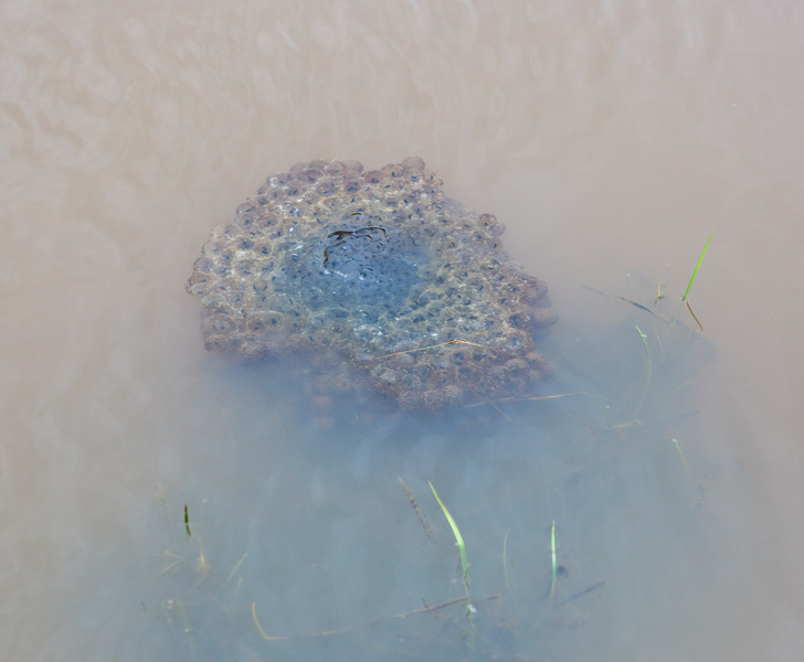 Farming - working with nature | Sussex Wildlife Trust