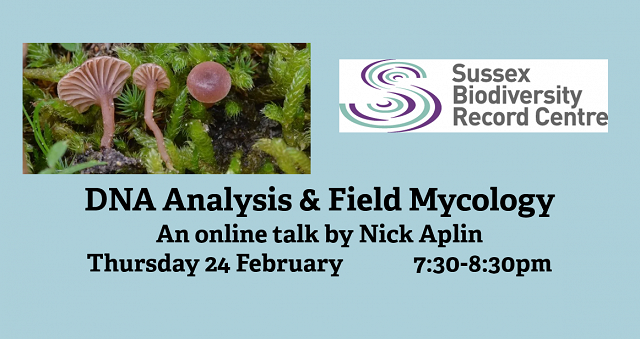 Online Talk: DNA Analysis & Field Mycology | Sussex Wildlife Trust