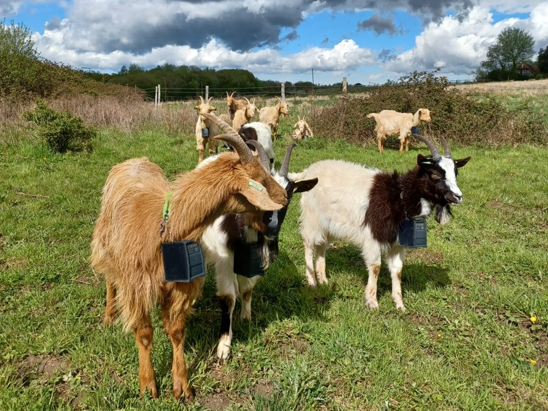Meet our staff: Ranger Dav Bridger | Sussex Wildlife Trust