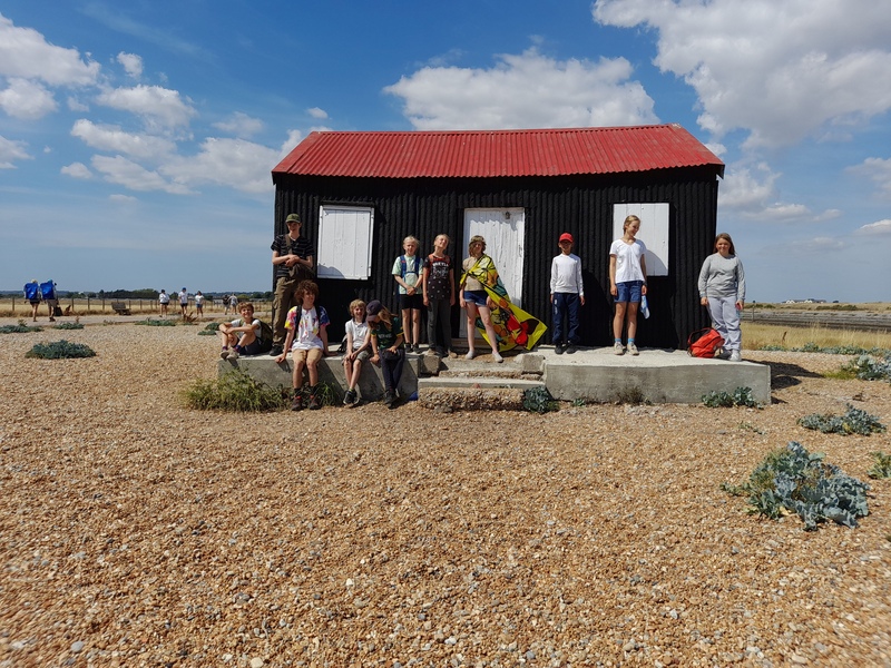 John Muir Summer Holiday Scheme for Young People | Rye Harbour Nature ...