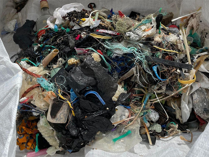 Silent boogie wonderland on the beach with Wild Coast Sussex | Sussex ...