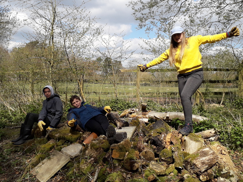 Our Wild Sussex: Helping nature to recover | Sussex Wildlife Trust