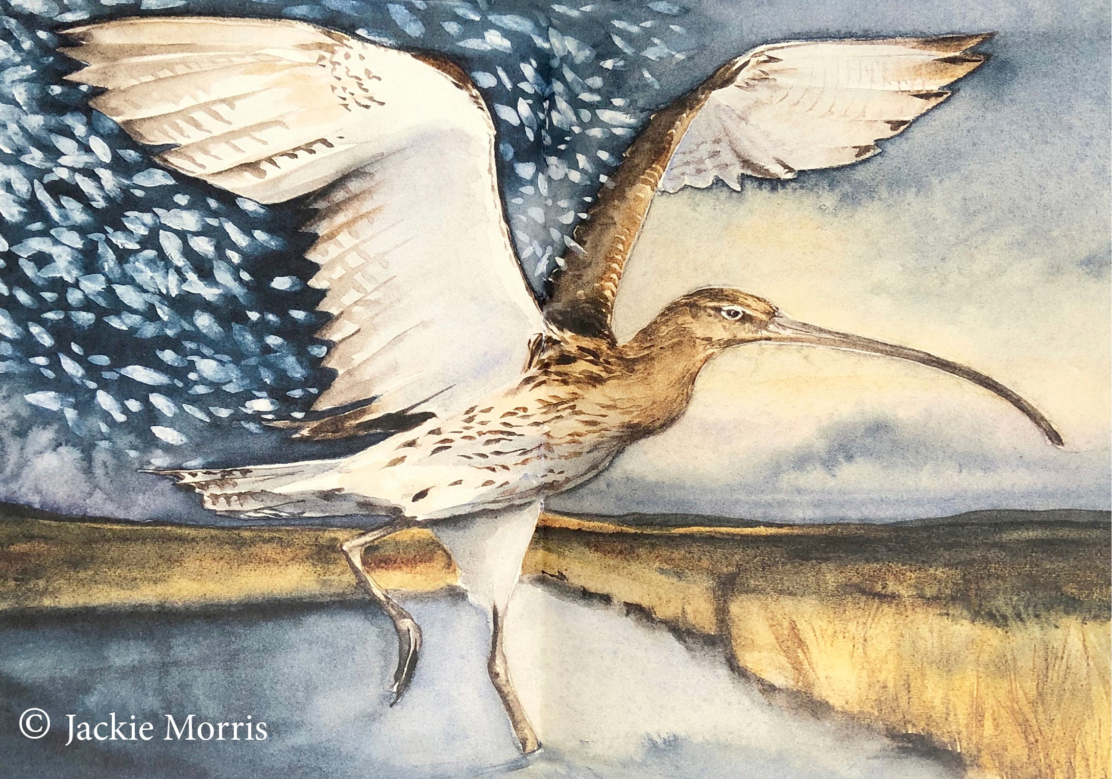 The Lost Words project launched | Sussex Wildlife Trust