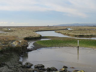 Climate Resilience | Sussex Wildlife Trust
