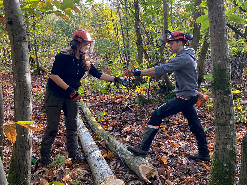 Lederman Trainee blog - November 22 | Rye Harbour Nature Reserve