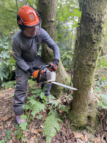 Lederman Trainees - September update | Sussex Wildlife Trust