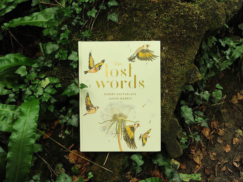 Rye Harbour's Lost Words | Sussex Wildlife Trust