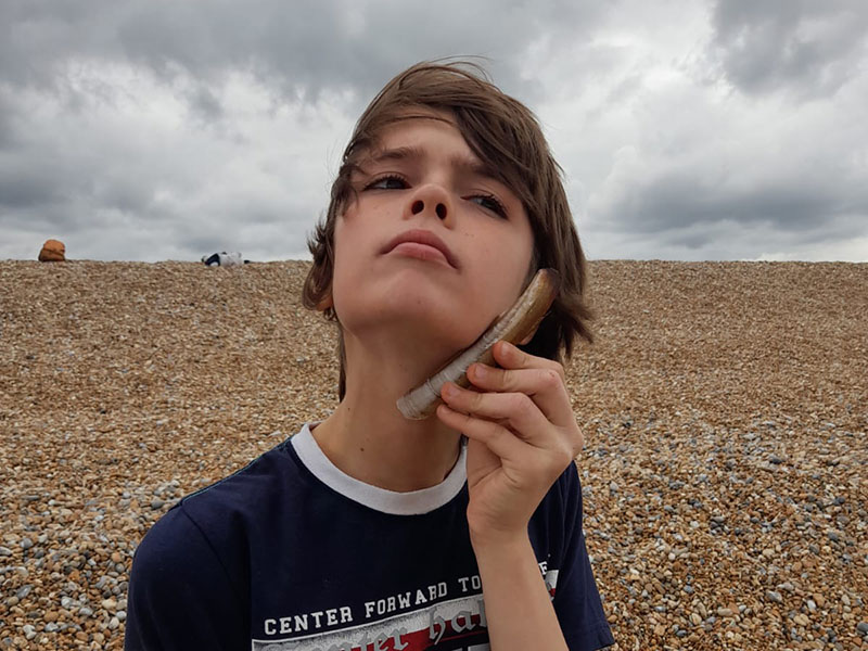 Sea fruits and veg | Sussex Wildlife Trust