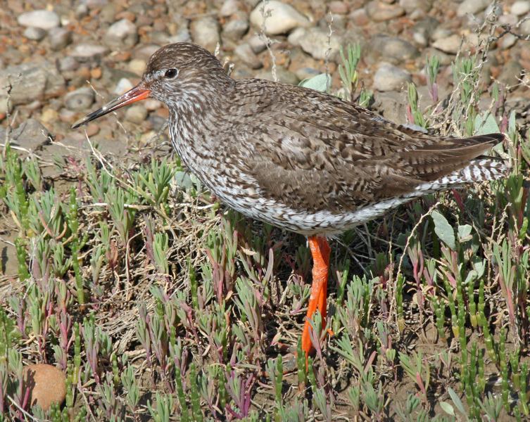 Meet the staff - Jamie Parsons | Sussex Wildlife Trust