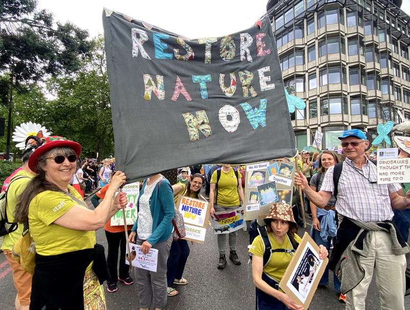 60,000 voices echoing hope | Sussex Wildlife Trust