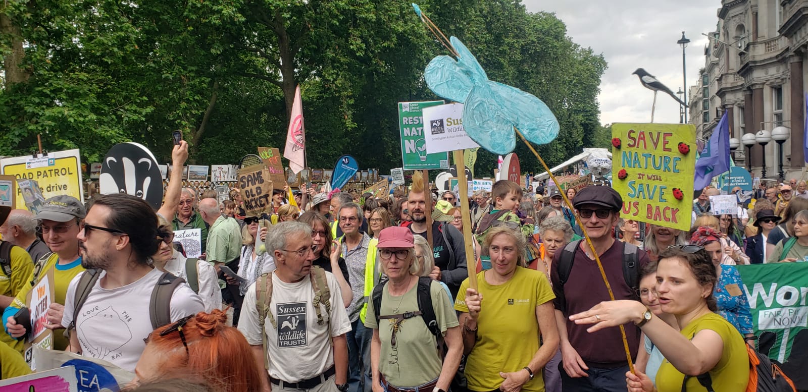 60,000 people say: Restore Nature Now! | Sussex Wildlife Trust